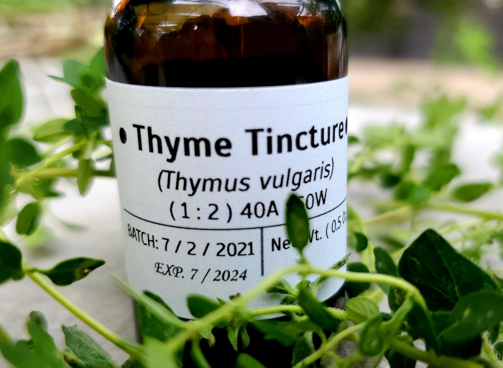 Thyme Tincture 1 oz – Ageless Apothecary